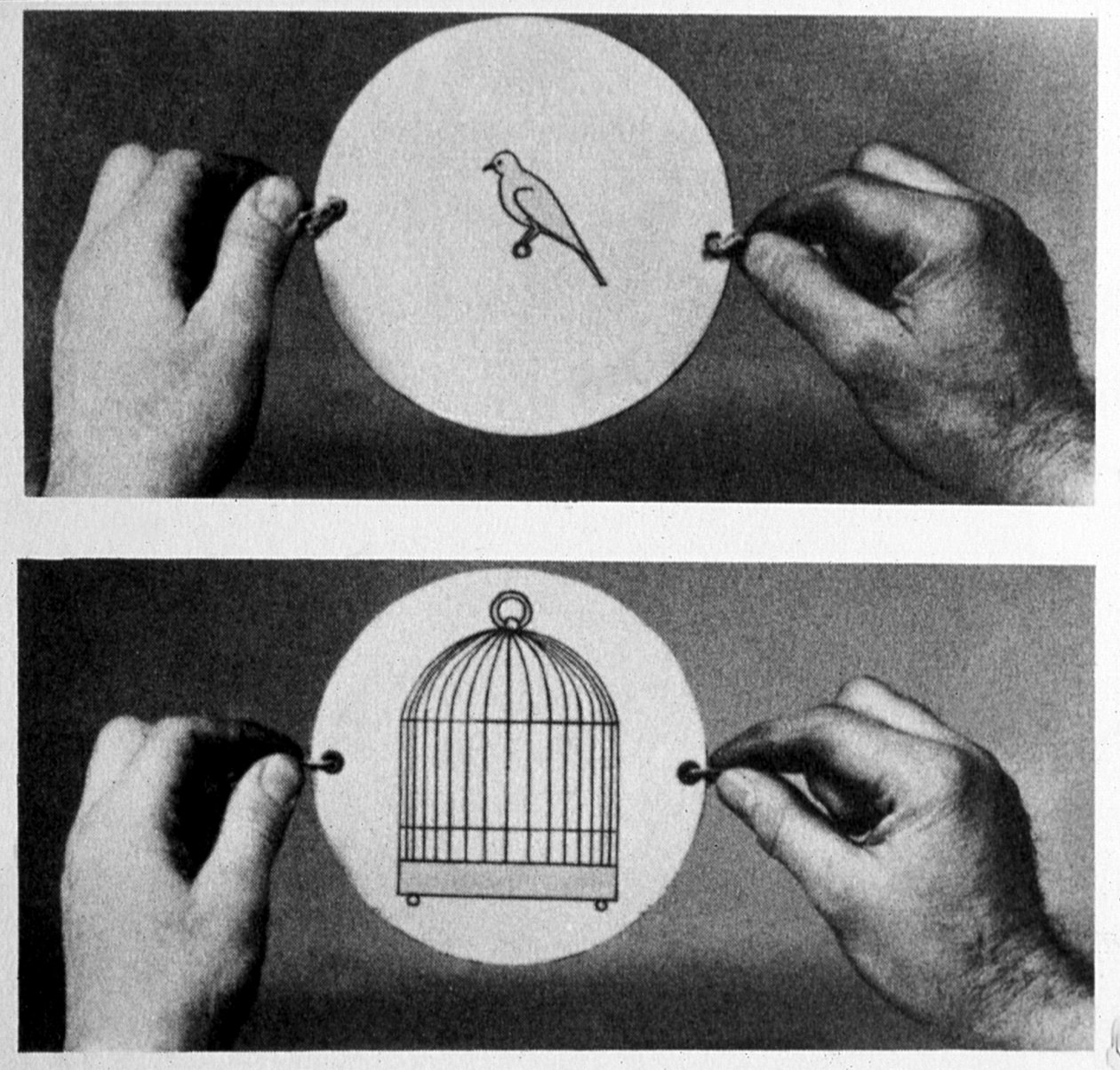 Animation – Site de Corinne Bourdenet Vicaire CBV